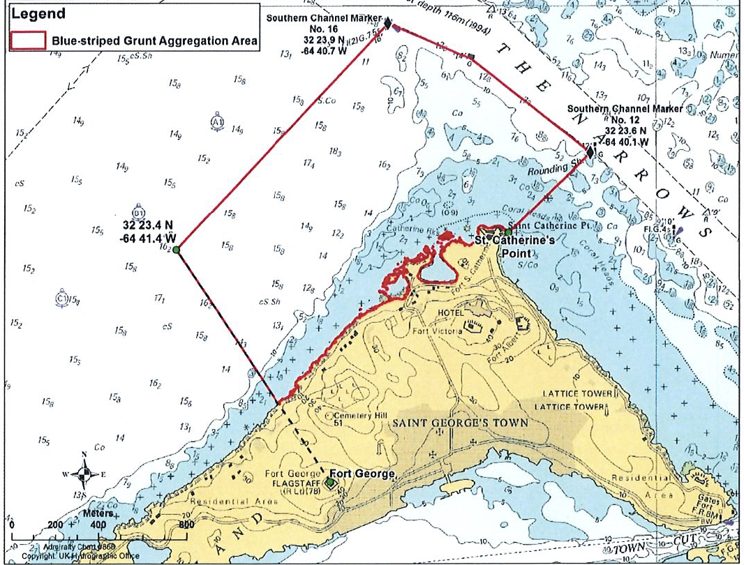 Fisheries Notice (Grunt Ground Closure) | Government of Bermuda