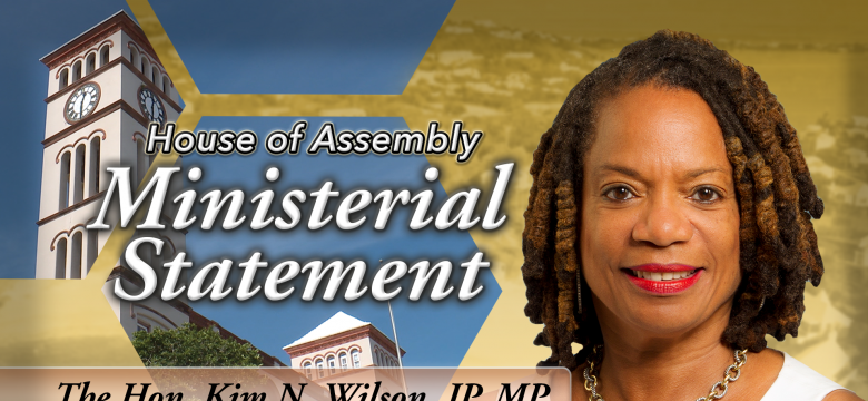 Our Progress Towards Strengthening Bermuda’s Health System | Government ...