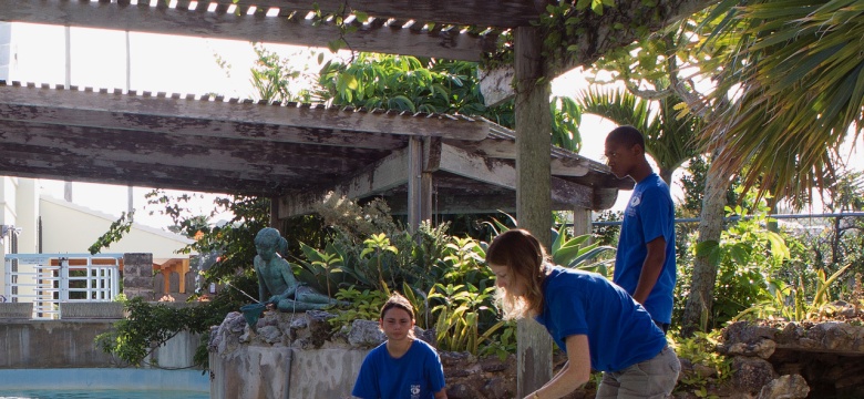 The Bermuda Aquarium, Museum, and Zoo (BAMZ) to reopen the zoo area ...