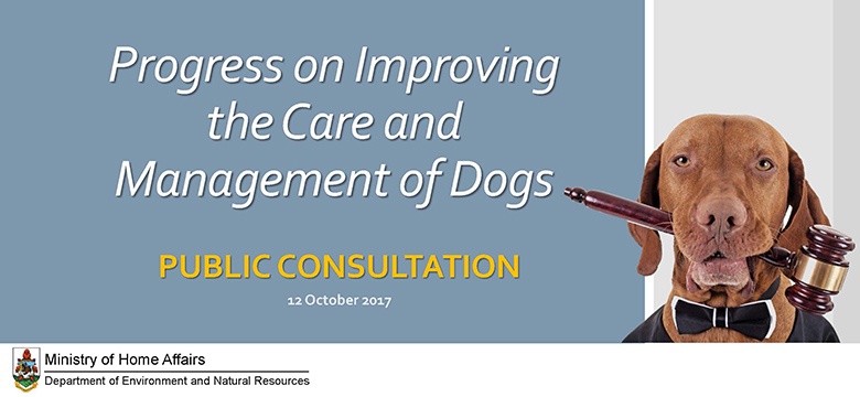 Progress on Improving the Care and Management of Dogs | Government of ...