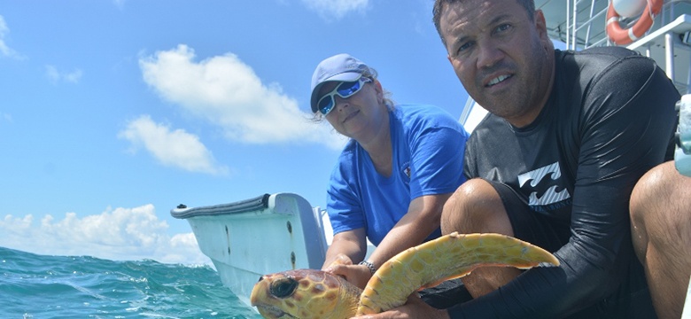 Injured loggerhead turtle released after nine month rehabilitation ...