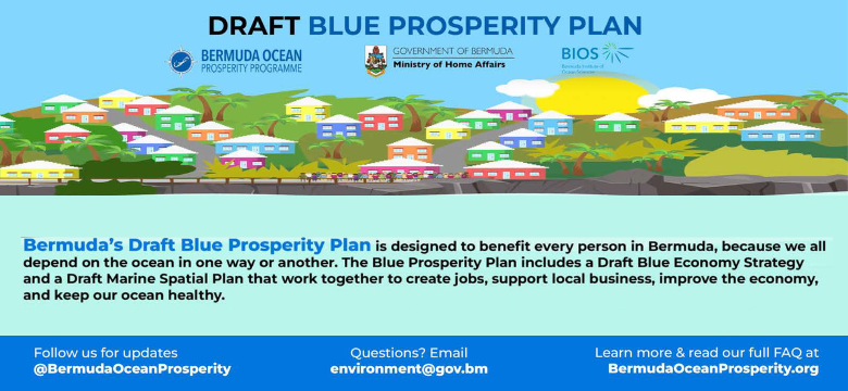 The Public is Encouraged to Continue Submitting Feedback on Draft Blue ...