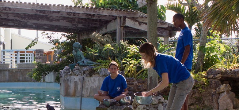 BAMZ To Close Public Visits | Government of Bermuda